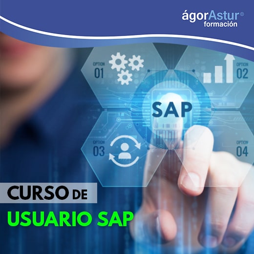 Curso de SAP Funcional Usuario (FI, CO, HCM, MM y SD) en Oviedo, Gijón ...